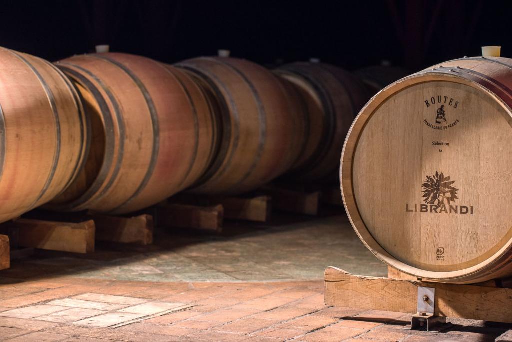 Visite in cantina e degustazione vini | Azienda vinicola Librandi