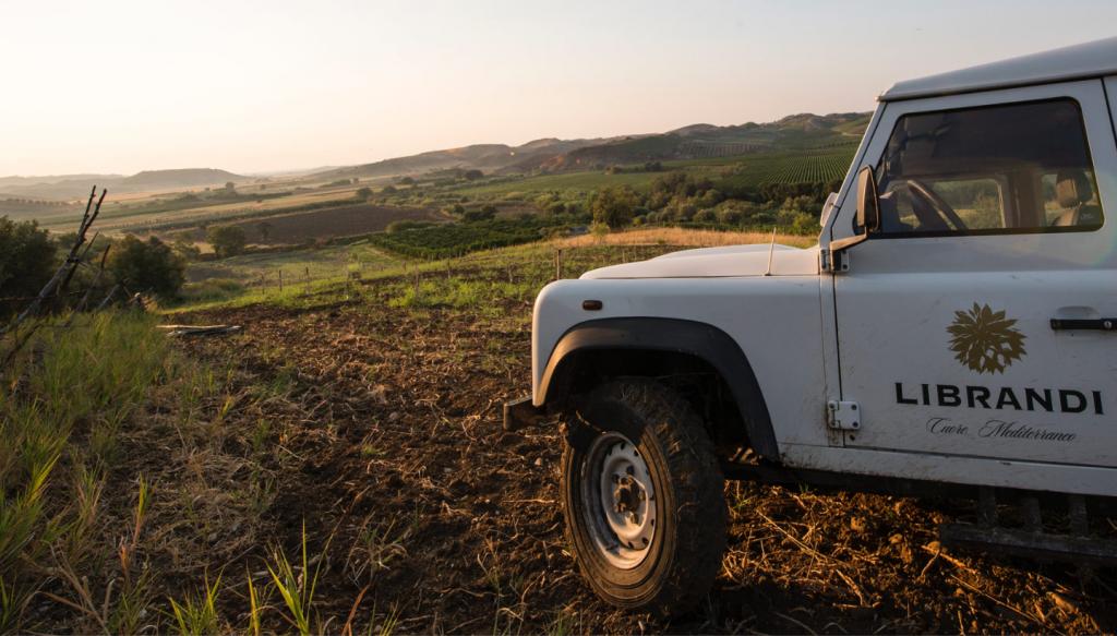 Azienda vinicola Librandi | Vini della Calabria